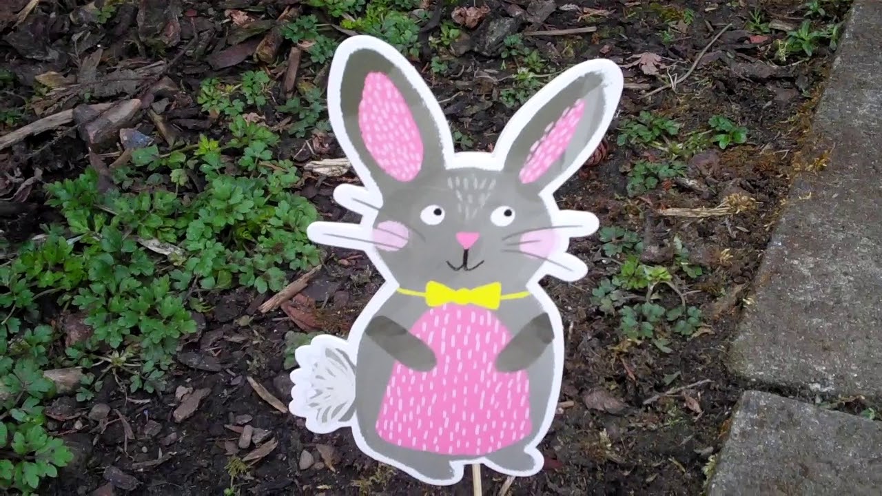 Easter bunny left a wee card to say goodbye. - YouTube