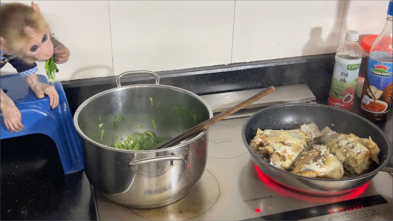 Monkey Kaka and his mother picked vegetables to cook rice. - YouTube