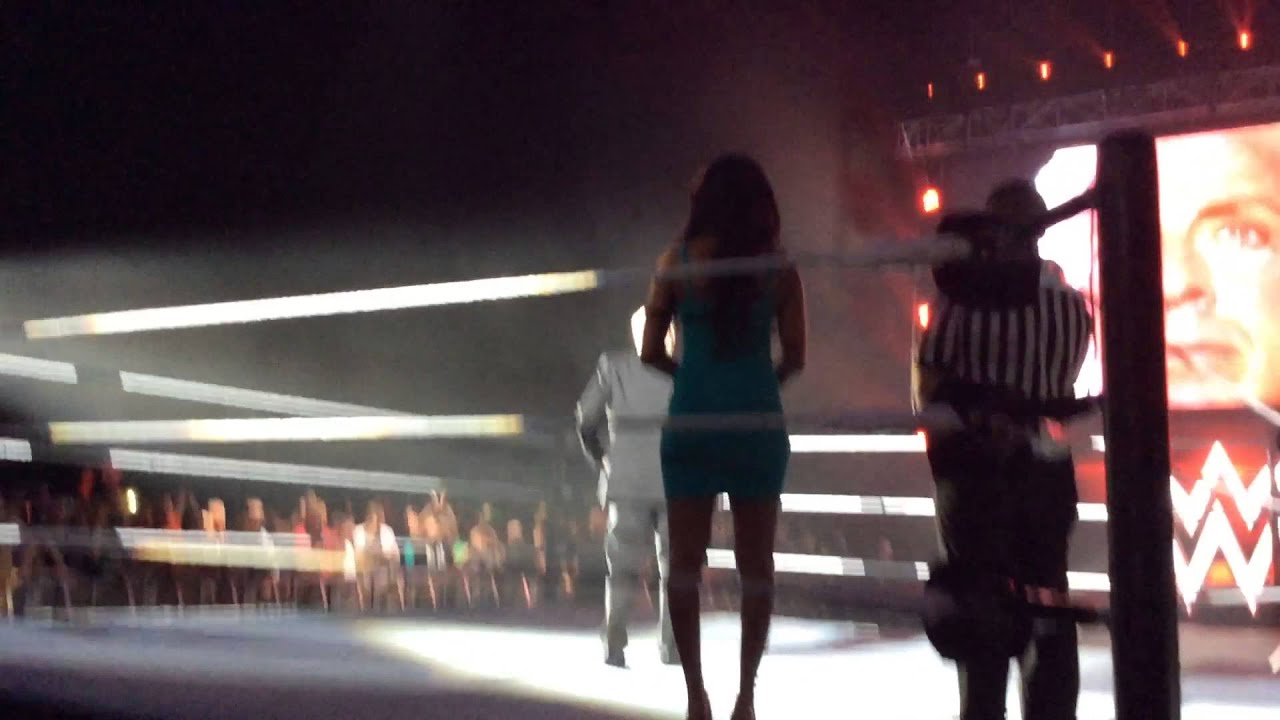 (Drunk) Ric Flair's Entrance. WWE Dublin 2015 - YouTube