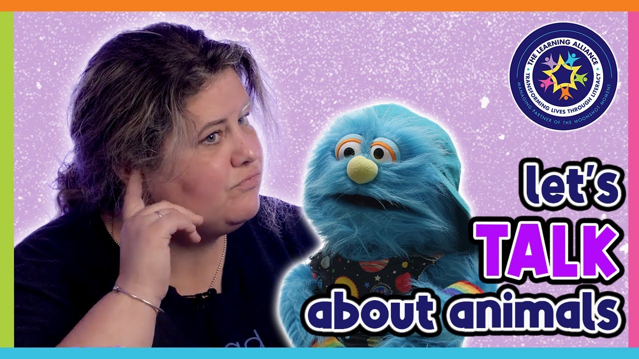 Let's TALK about Animals - YouTube