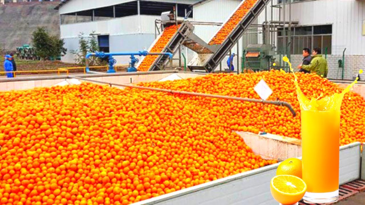 How Orange Juice Is Made (You Won't Believe What Happens During This ...