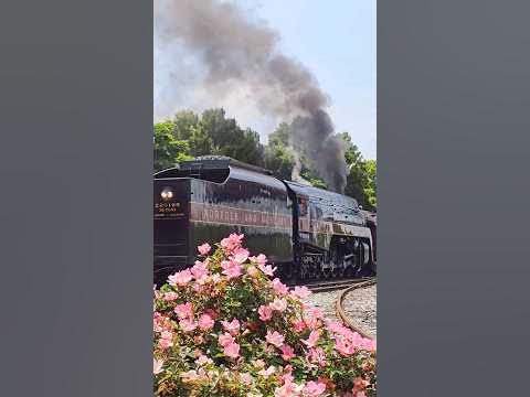😀N&W #611 In Reverse Move @Strasburg: Farewell Tour! - YouTube