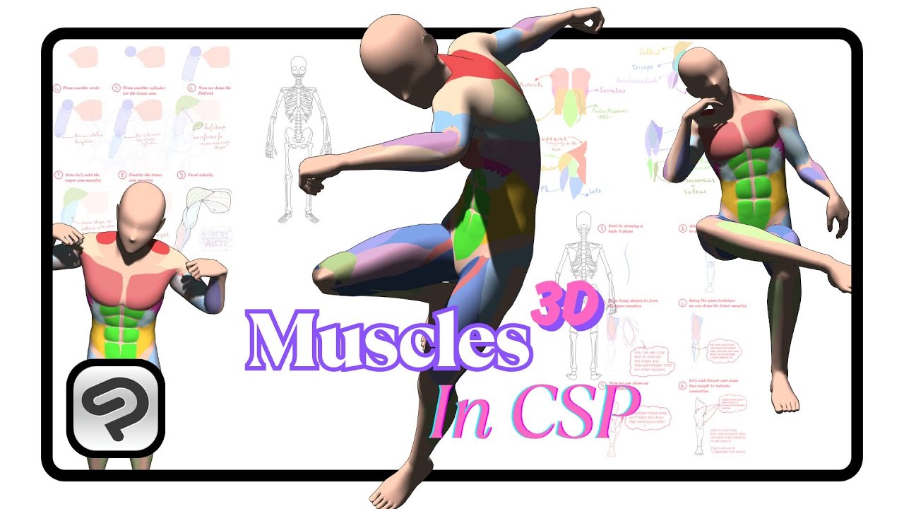 Mastering Muscles in Clip Studio Paint – Video Workflow! - YouTube