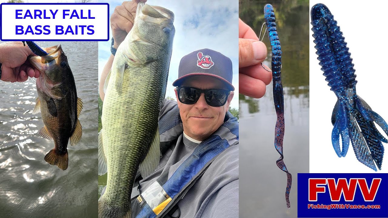 EARLY FALL BASS FISHING TIPS, BAITS AND TECHNIQUES - YouTube