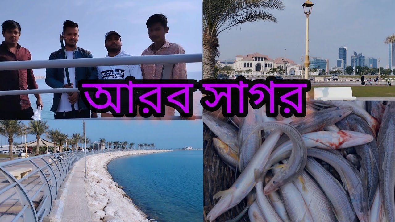 Saudi Arab Arab sagar. সৌদি আরব আরব সাগর। - YouTube