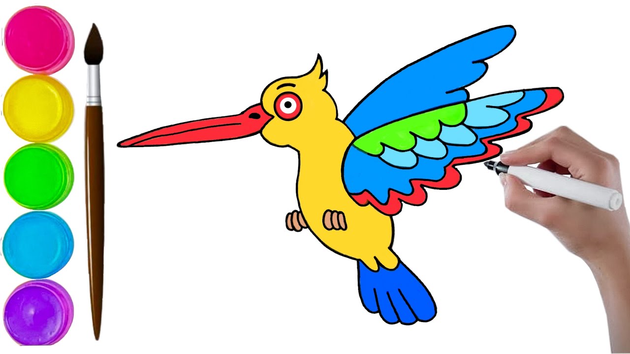 How to Draw a Kingfisher - a bird | King fisher Drawing Easy | All Real ...