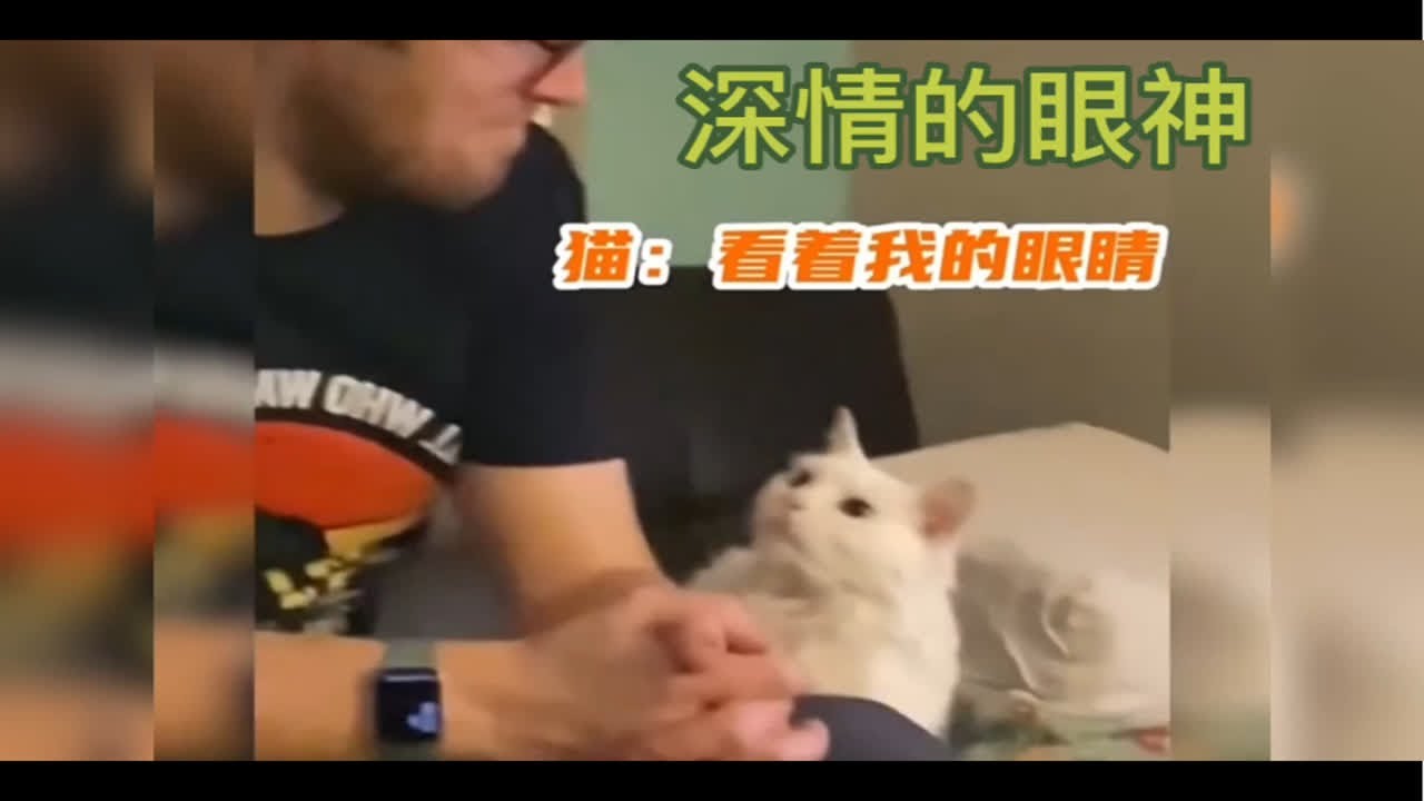 这是养了只情敌跟逆子么? Youtube