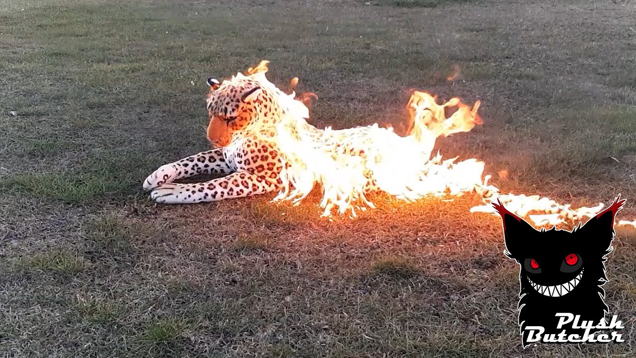 Leopard Plush burn it to the ground - YouTube
