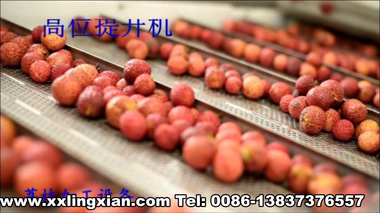 Tropical Fruit Processing Equipment 3-8 t/h , peeling and juicing ...