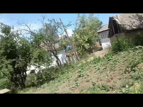 Arınn beçə verməsi... Lerik rayonu Buruq kəndi...