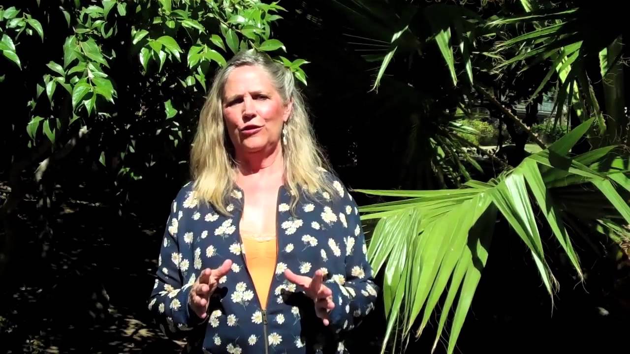 Pamela Wright-Wright One Coaching - YouTube