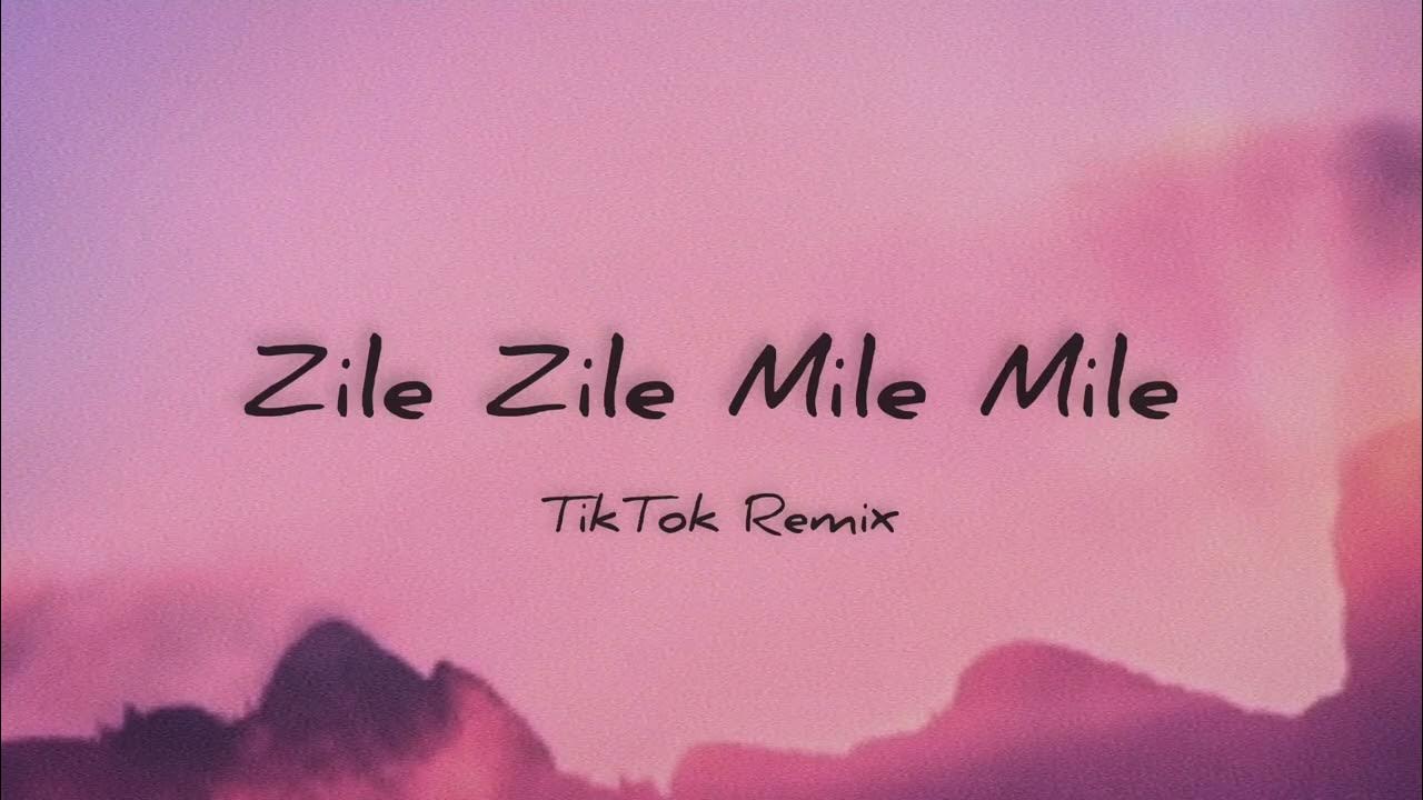 zile zile mile mile tik tok remix song - YouTube