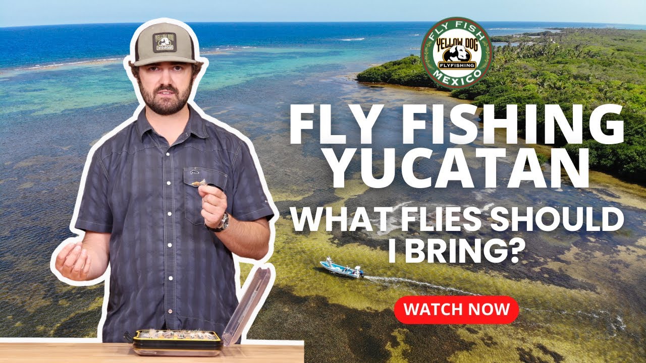 Essential Flies for Fly Fishing the Yucatan for Tarpon, Bonefish, and ...