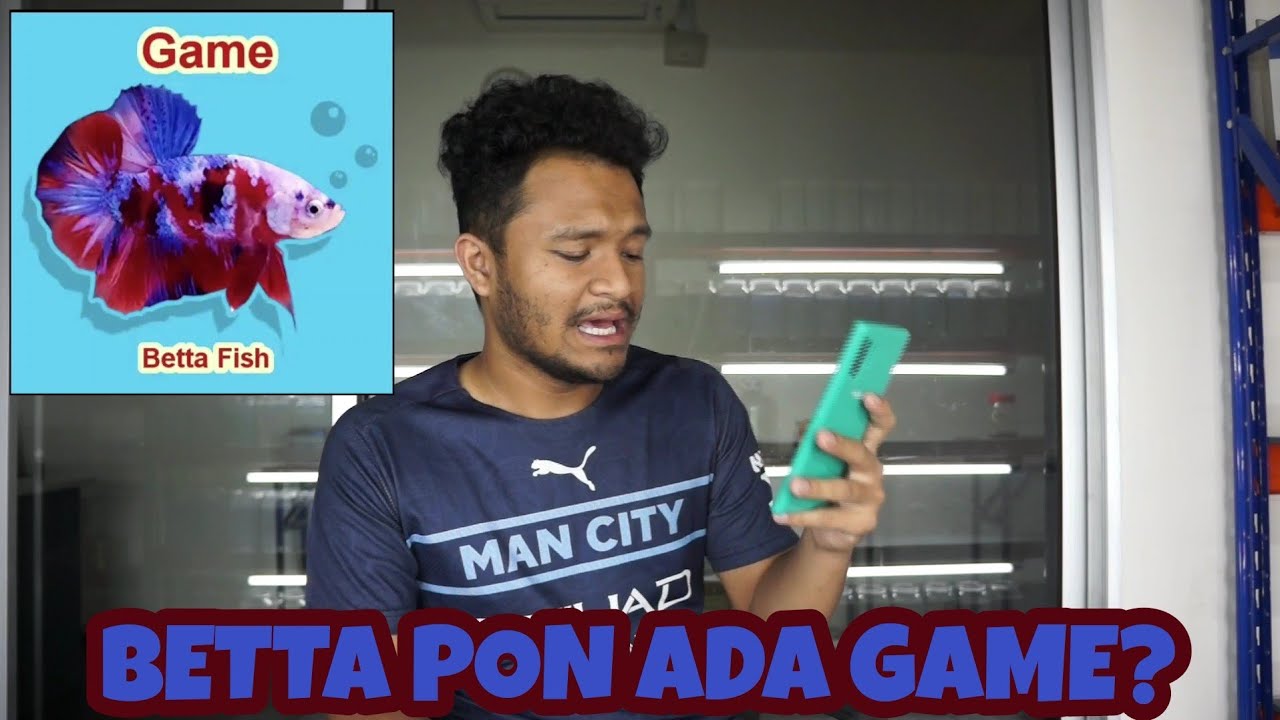 HILANGKAN STRESS. MAIN GAME BETTA FISH SELLER - YouTube