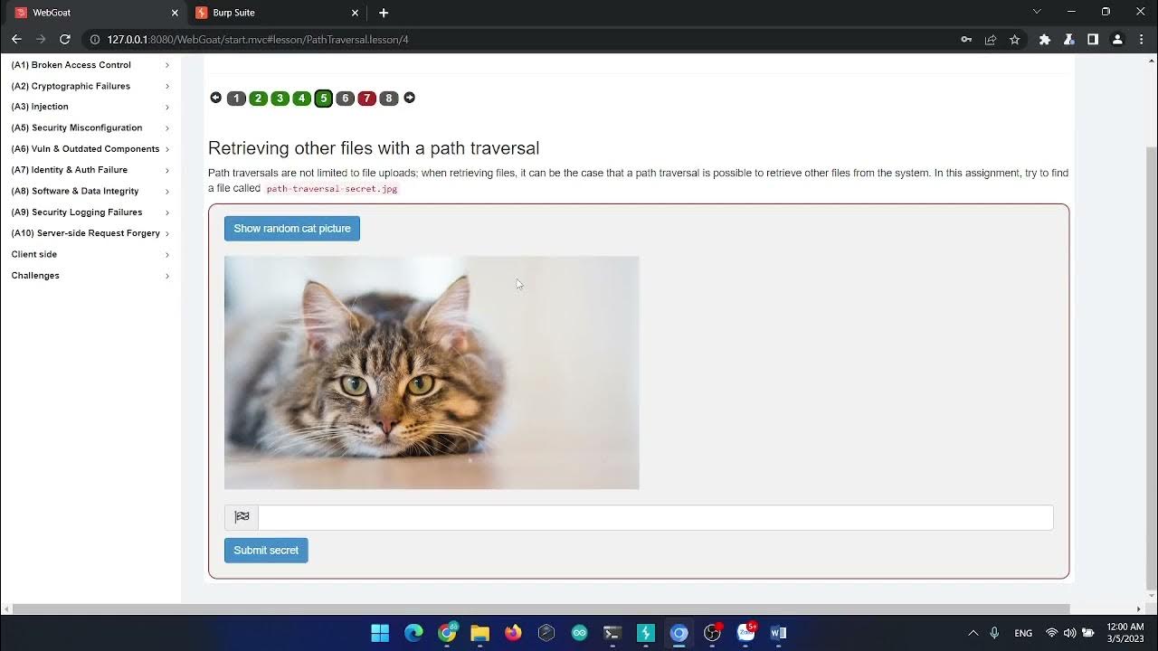 Webgoat (A3) Path Traversal Full Assignments - YouTube