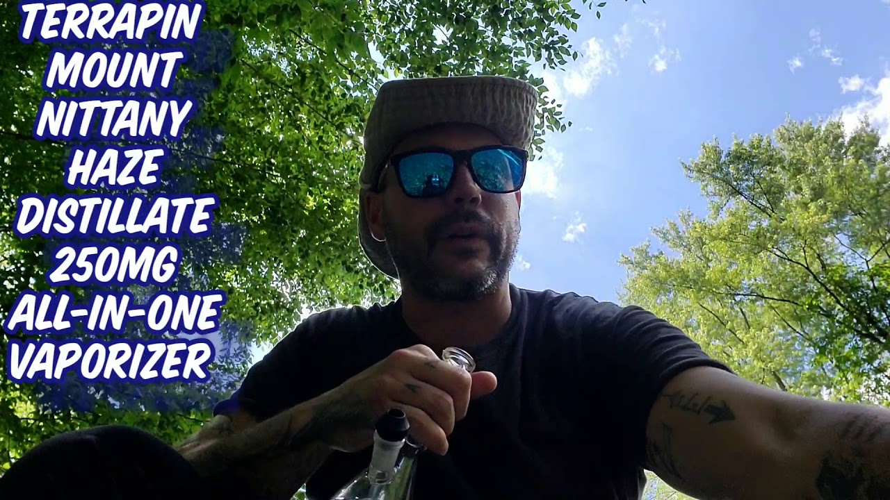TERRAPIN MOUNT NITTANY HAZE DISPOSABLE VAPORIZER REVIEW - YouTube