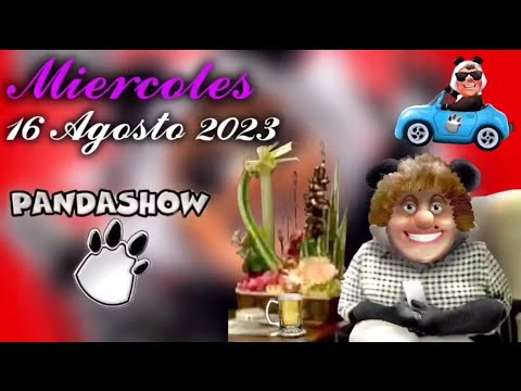 El Panda Show del 16 de Agosto del 2023 - YouTube