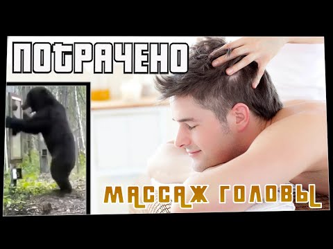 Потрачено. Массаж головы. Лучшие приколы, смешные видео и фейлы
