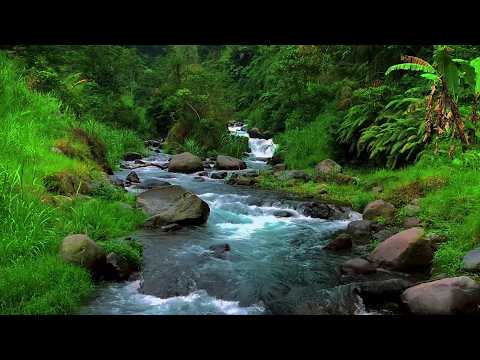 Healing River Ambience | Nature’s Therapy for Sleep & Focus