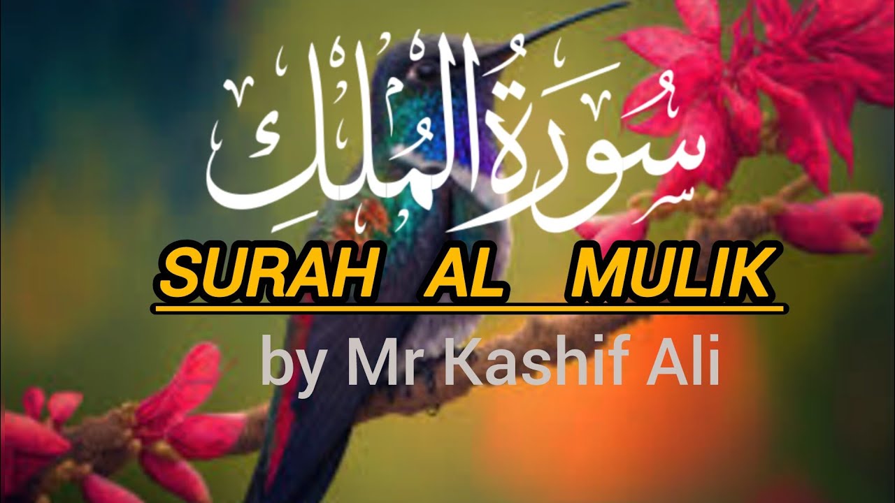 Surah Al-Mulk Beautiful vice||surat al mulik Full | سورہ المک | by Mr ...