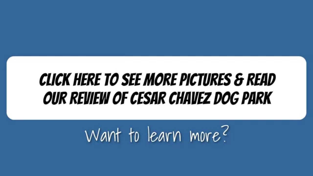 César Chávez Dog Park in Berkeley, CA - YouTube