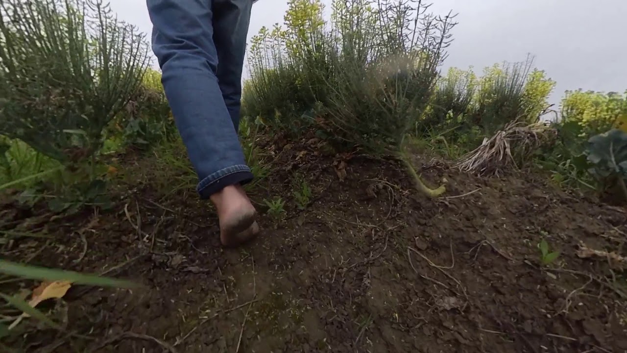 Barefoot in a field in the spring of 2019 - YouTube