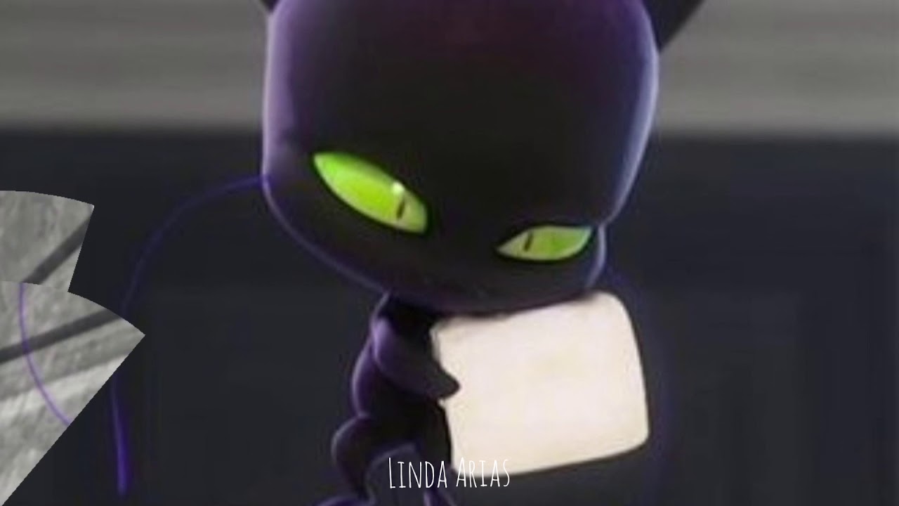 Miraculous ladybug | plagg+Tikki | Edit - YouTube