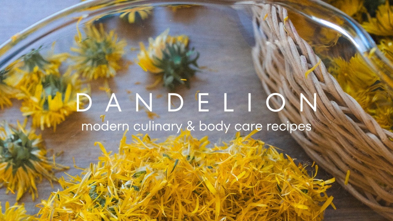 4 exciting ways to use dandelions (simple recipes for beginners ...