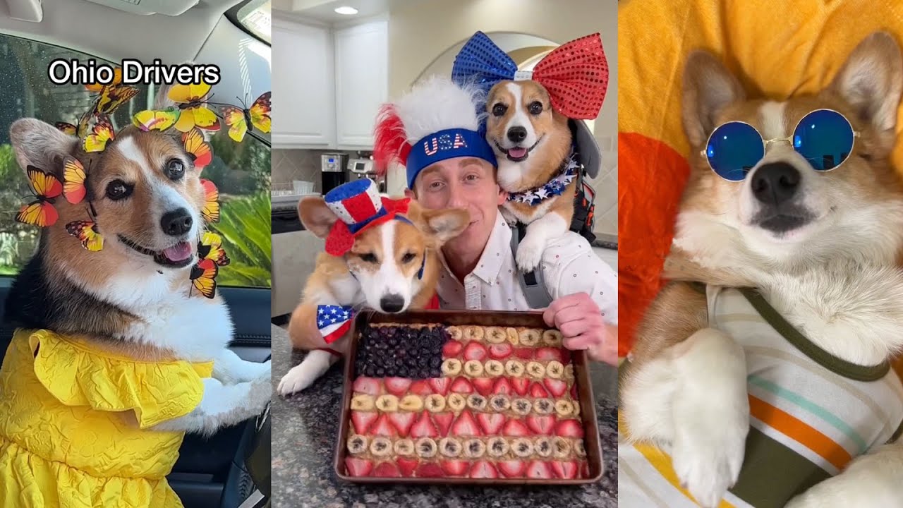 Hammy and Olivia Funny TikTok Videos 2023 | Hammy and Olivia New Videos ...