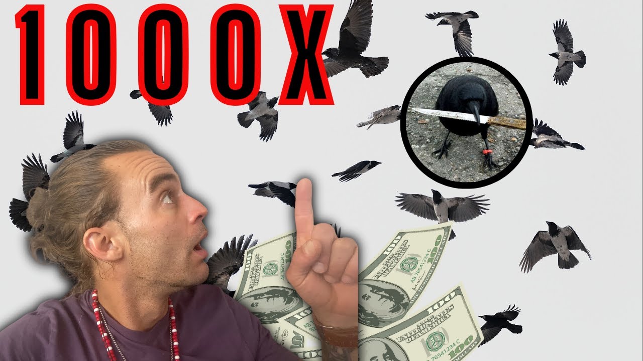 Can CROW WITH KNIFE 1000X Is This The Next $1 BILLION Market Cap CRONOS ...