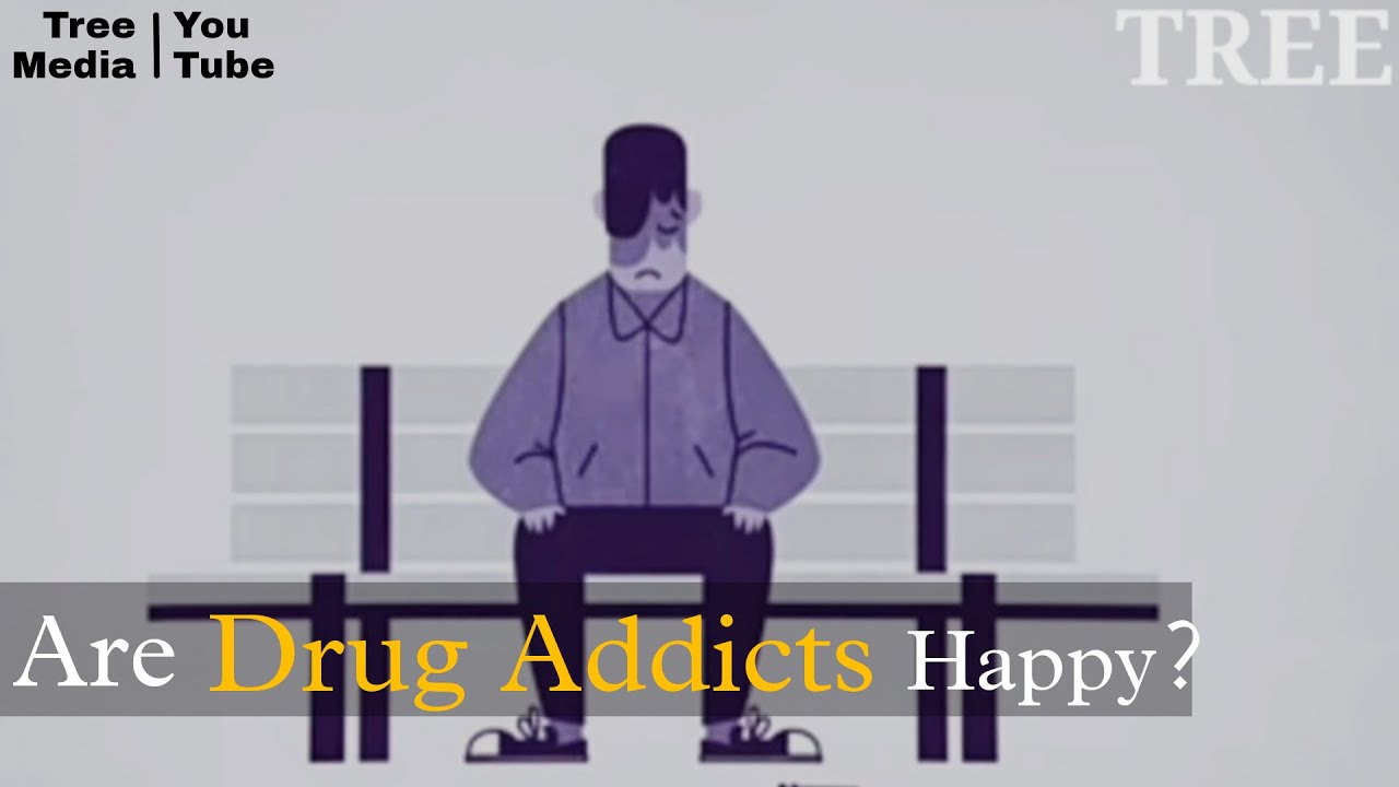 Are drug addicts Happy? | Tree Media : Hindi | shorts ⚡ - YouTube