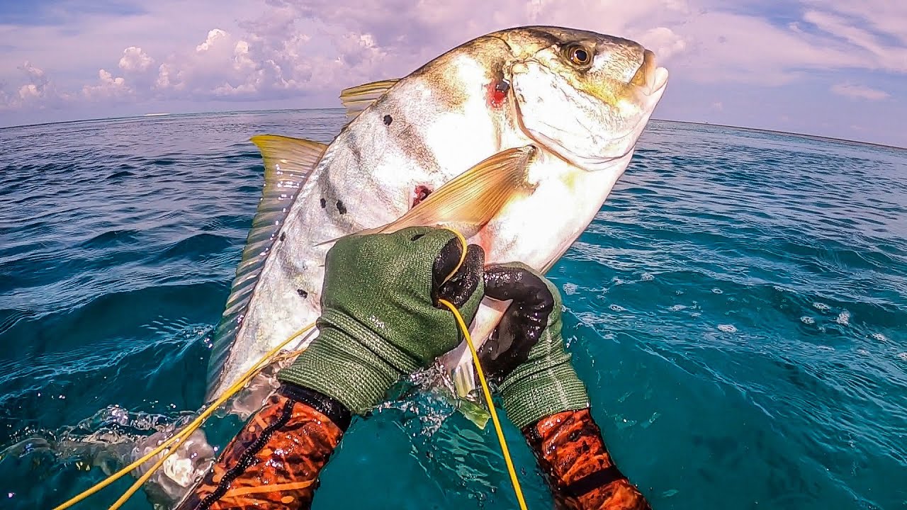 Catch and Cook Golden Trevally | Spearfishing Indonesia - YouTube
