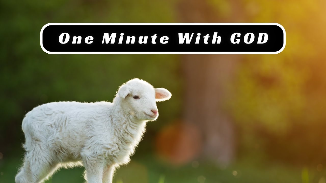 1 Minute with God – A Daily Dose of Scripture – Complete in God - Psalm ...