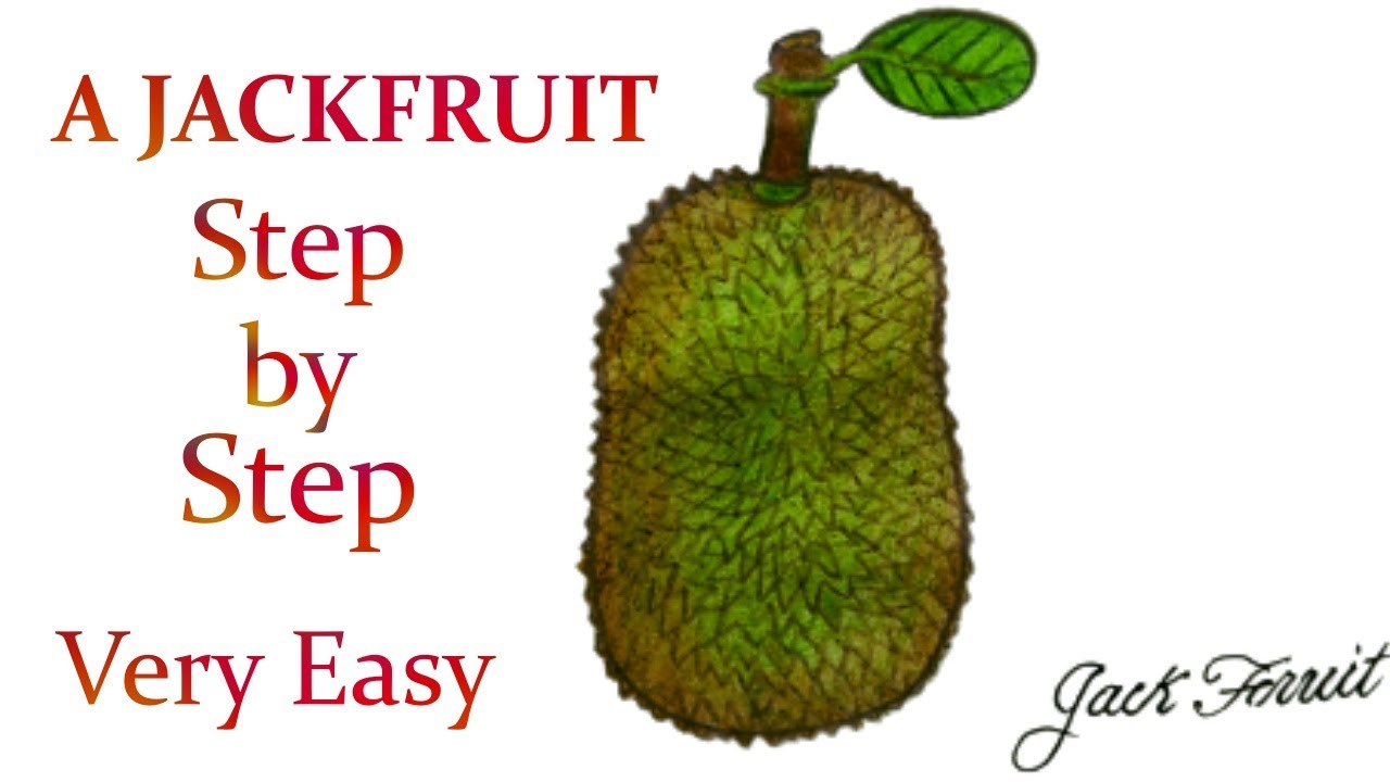 How to draw a jackfruit | Jackfruit drawing easy step by step ...