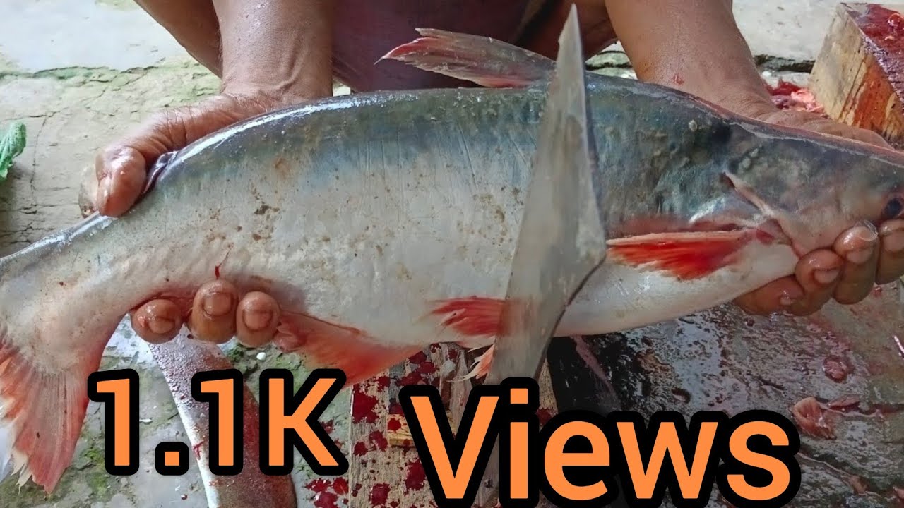 🔥🗡🗡Super Fast পাঙ্গাস Fish Cut!Fastest big Rui Fish Cutting in Fish ...