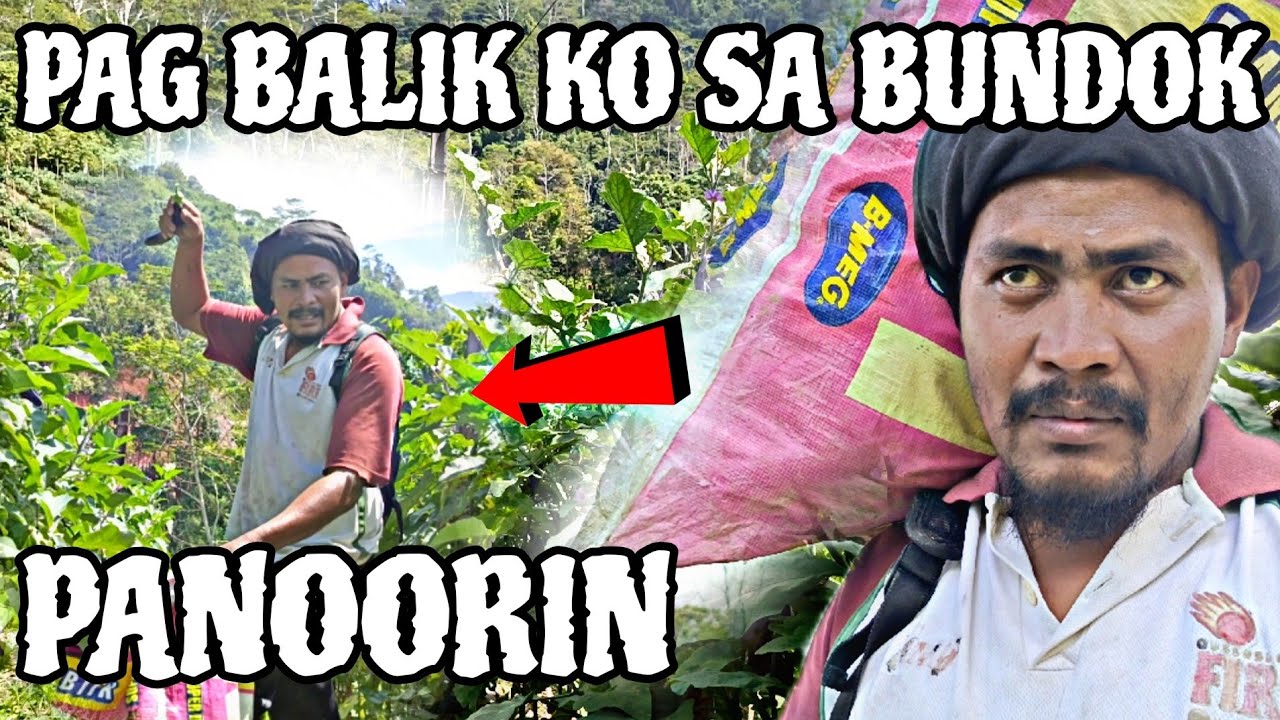 PAGBALIK KO SA BUNDOK#viralvideo - YouTube