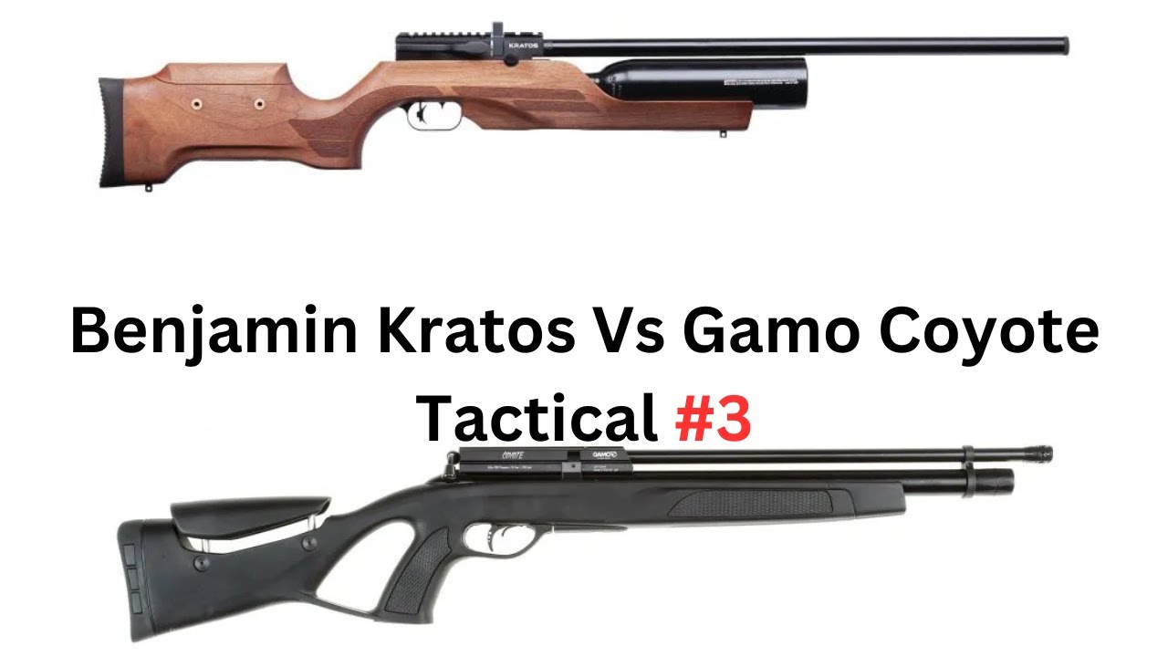 Benjamin Kratos Vs Gamo Coyote Tactical - YouTube