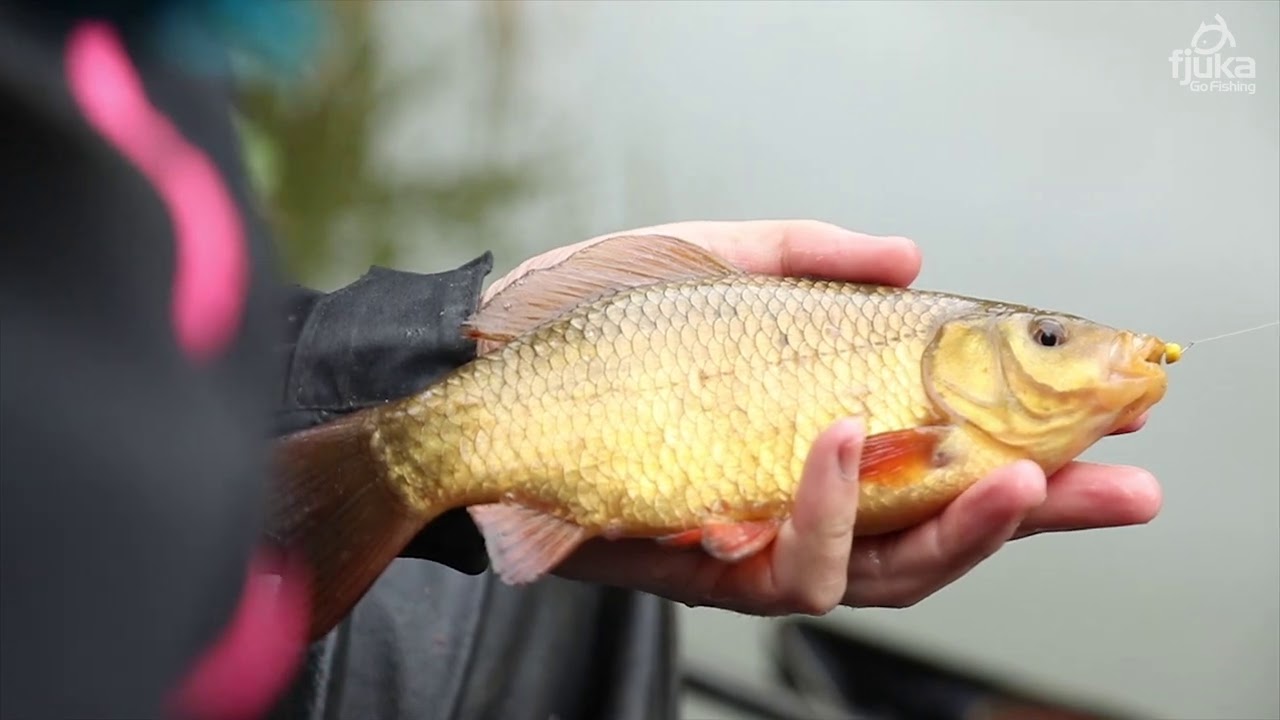 Fjuka Bait: Winter Fishing Tips - YouTube
