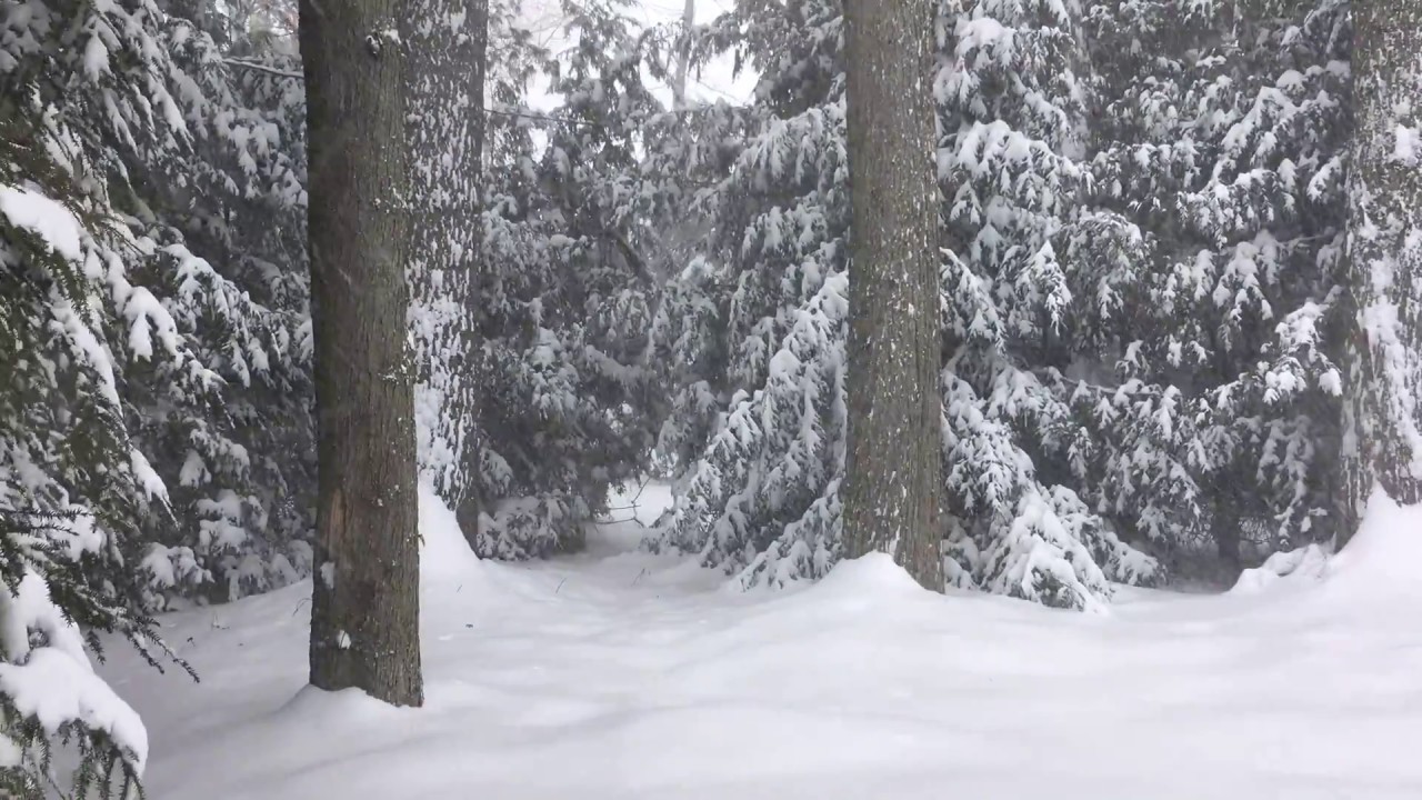 Time Lapse: Blizzard March 14, 2017, in my backyard - YouTube