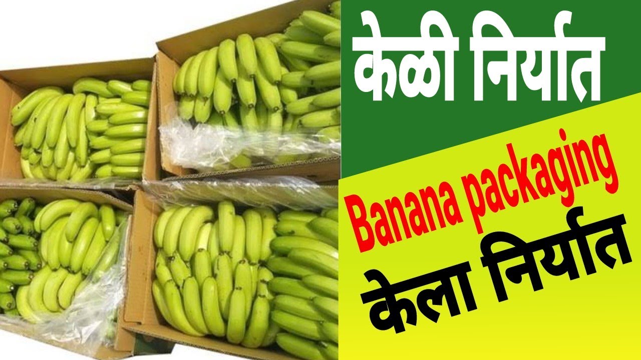 Banana packaging for export - YouTube