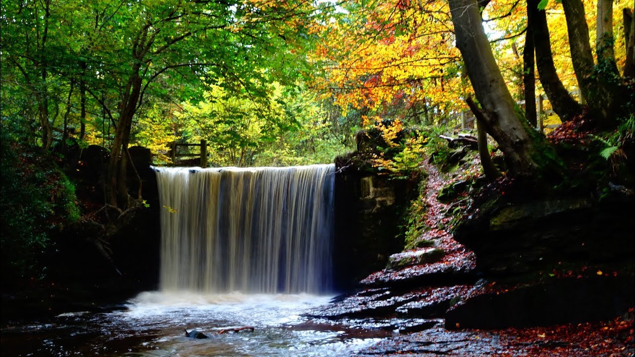 Waterfall, Plas Power Park & Woods Between Coedpoeth & Bersham - YouTube