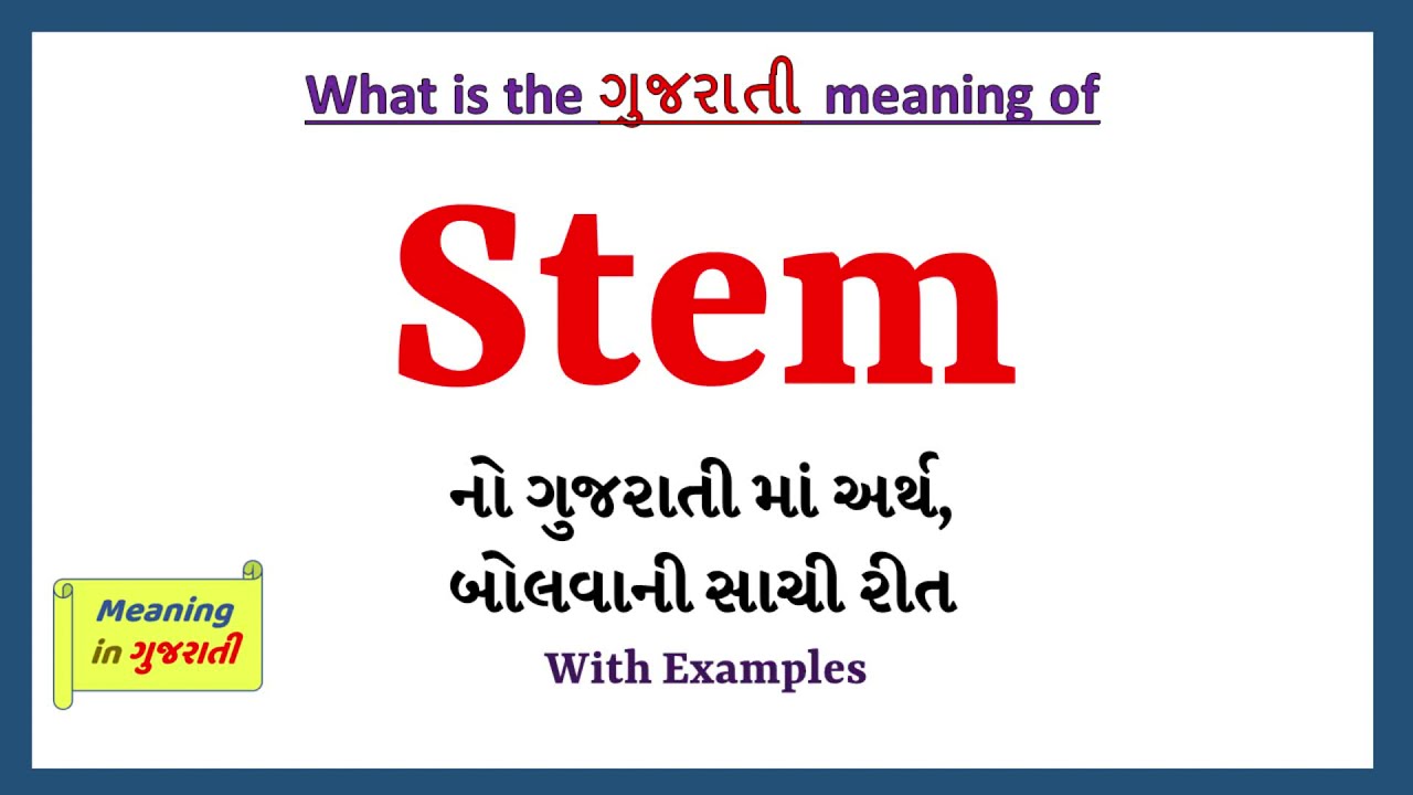 Stem Meaning In Gujarati Stem Stem In Gujarati Stem Meaning In Gujarati Stem Stem In Gujarati