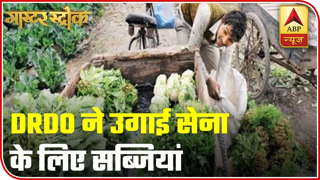 Master Stroke From Leh: DRDO's Research Institute Grows Vegetables For ...
