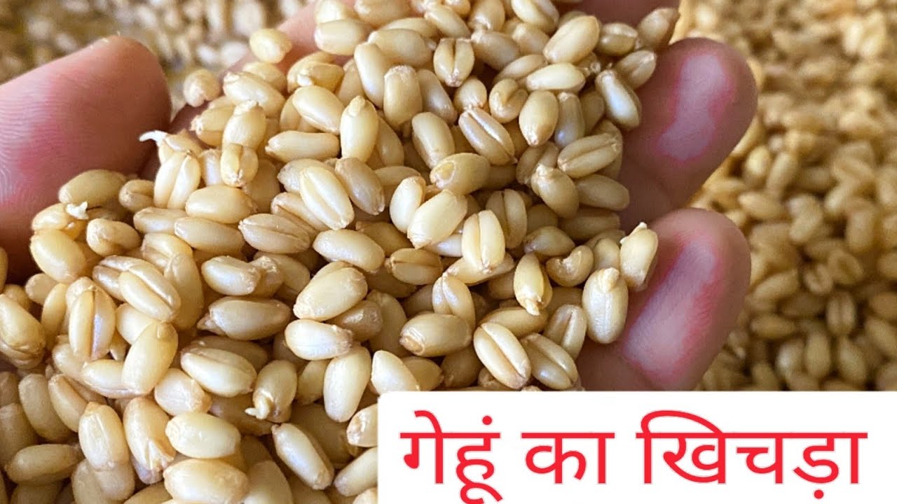 Simple Sweet Wheat Khichada Recipe/Spicy Wheat Khichada Recipe - Rakhis ...
