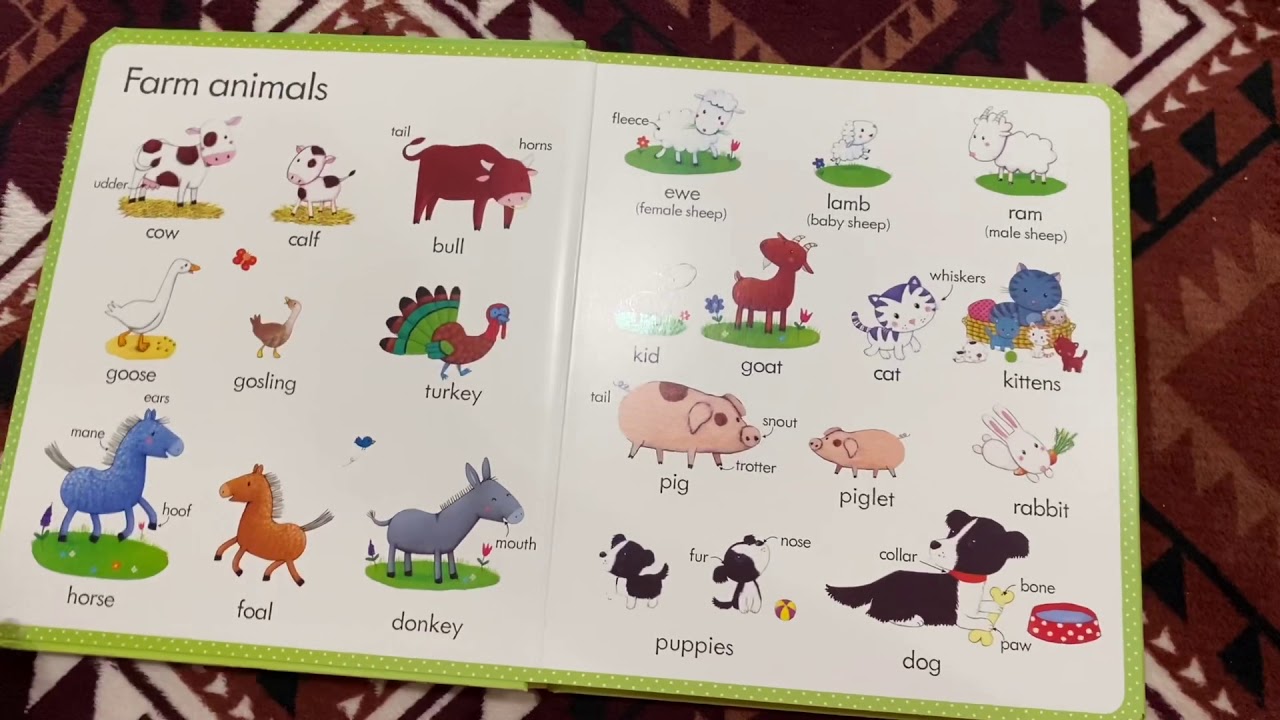 Usborne My First Word Book on The Farm - YouTube