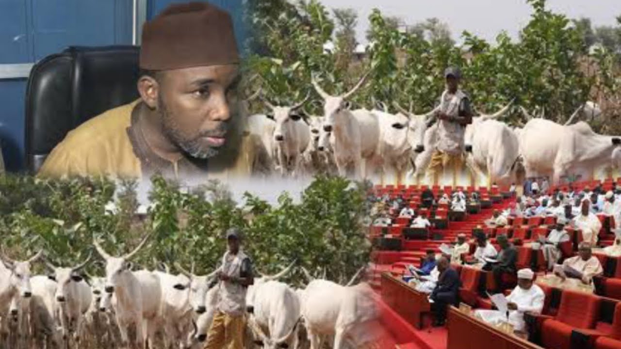 For Someone To Wake Up And Bring A Bill To Stop Cattle Movements Is ...