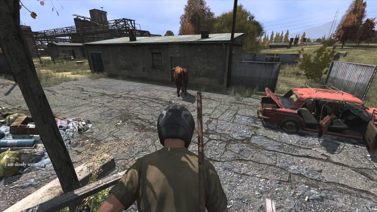 DayZ - Cows running - YouTube