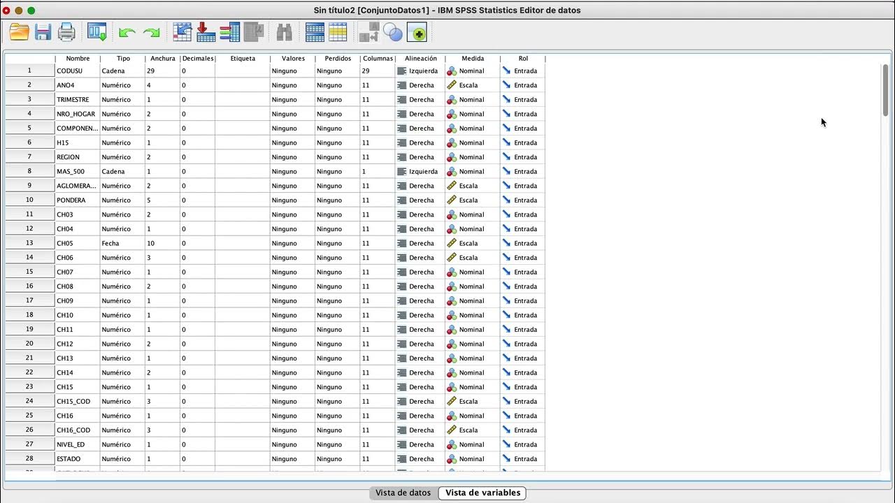 Codificar Variables y Vista de Variables en SPSS - YouTube