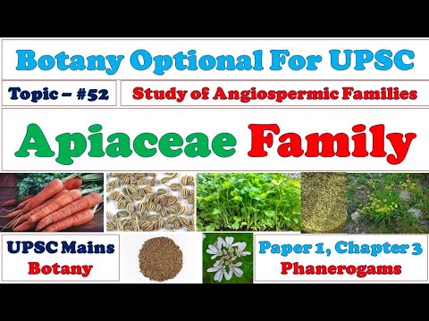 Apiaceae Family: Vegetative & Reproductive Characters: Floral Formula ...