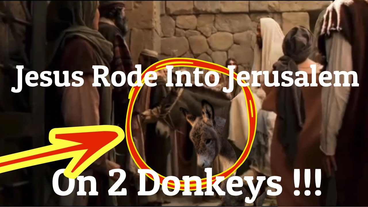 Jesus Rode Into Jerusalem On 2 Donkeys !!! - YouTube